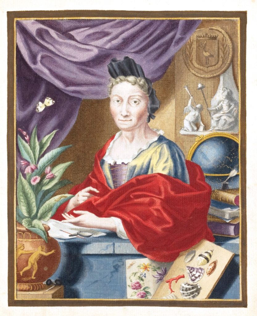 Merian’s life | The Maria Sibylla Merian Society