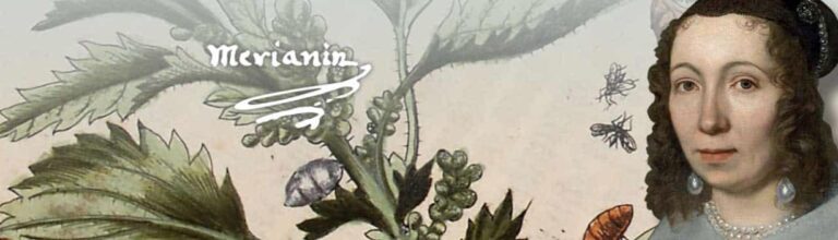 The Maria Sibylla Merian Society